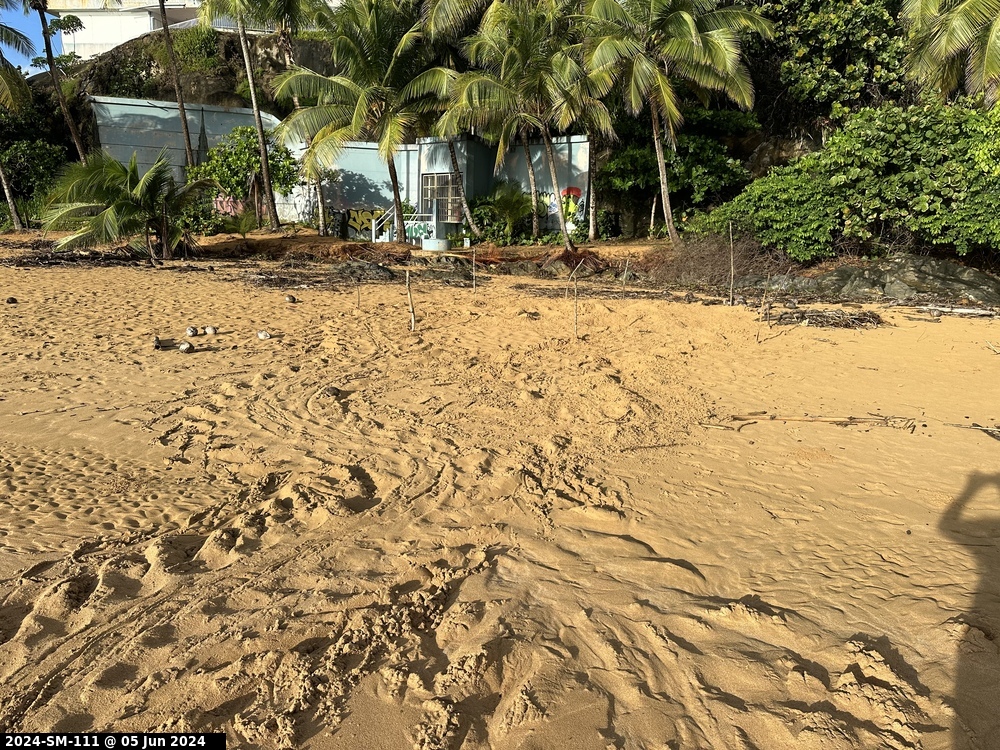 SM111 - Nest Tracker