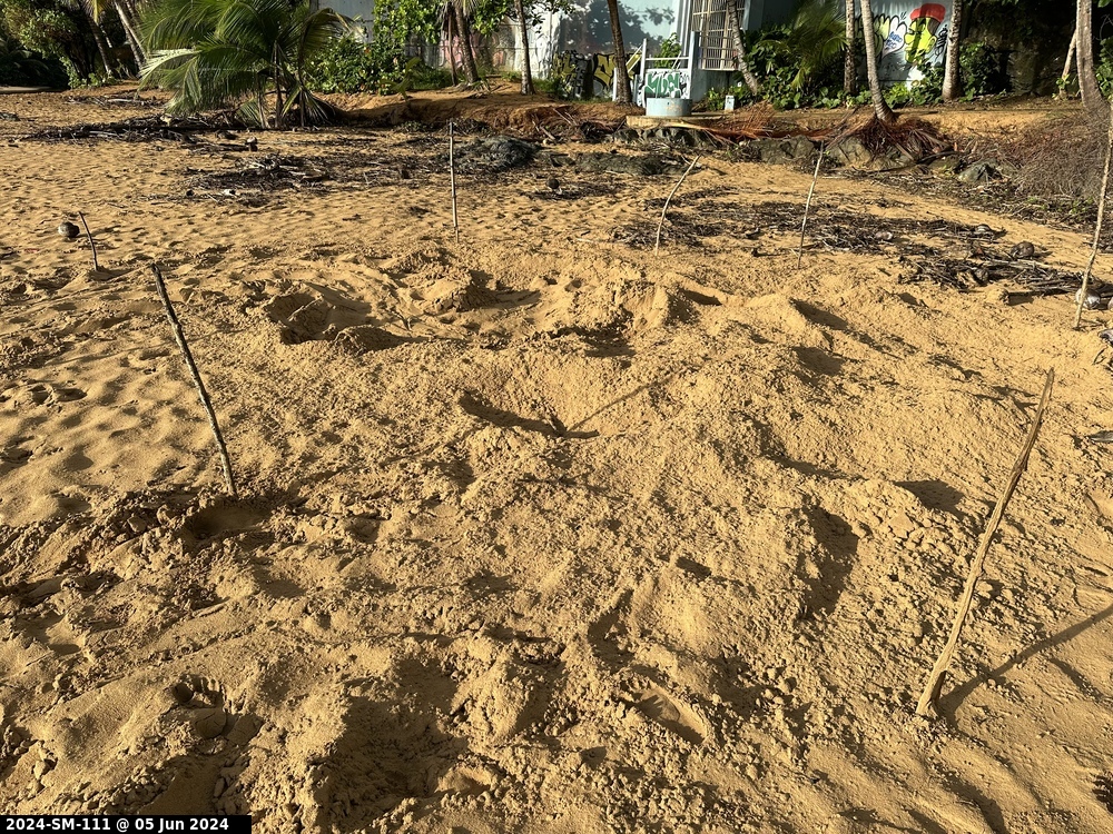 SM111 - Nest Tracker