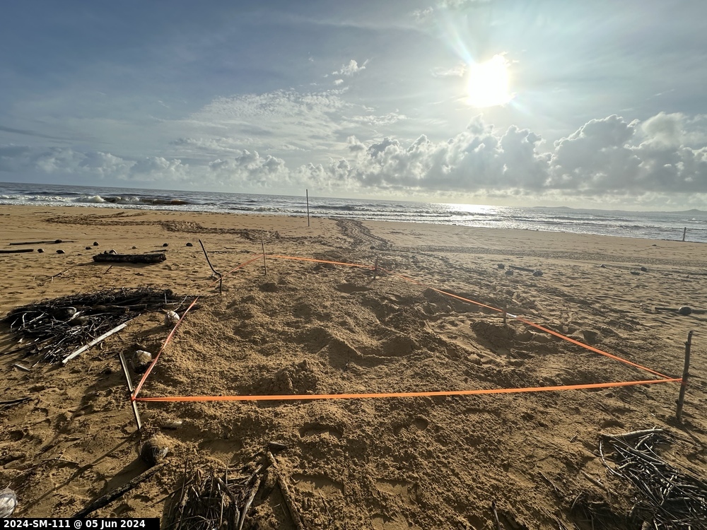 SM111 - Nest Tracker