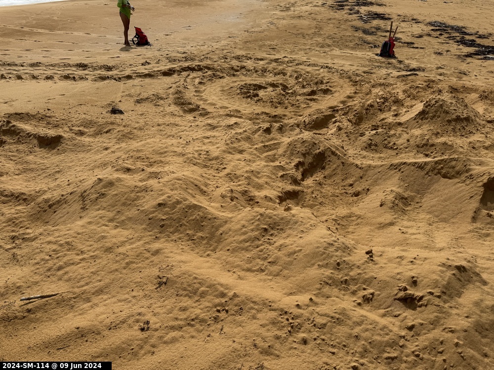 SM114 - Nest Tracker