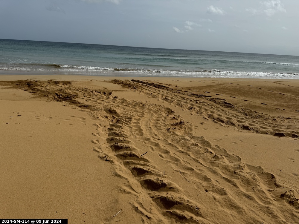 SM114 - Nest Tracker