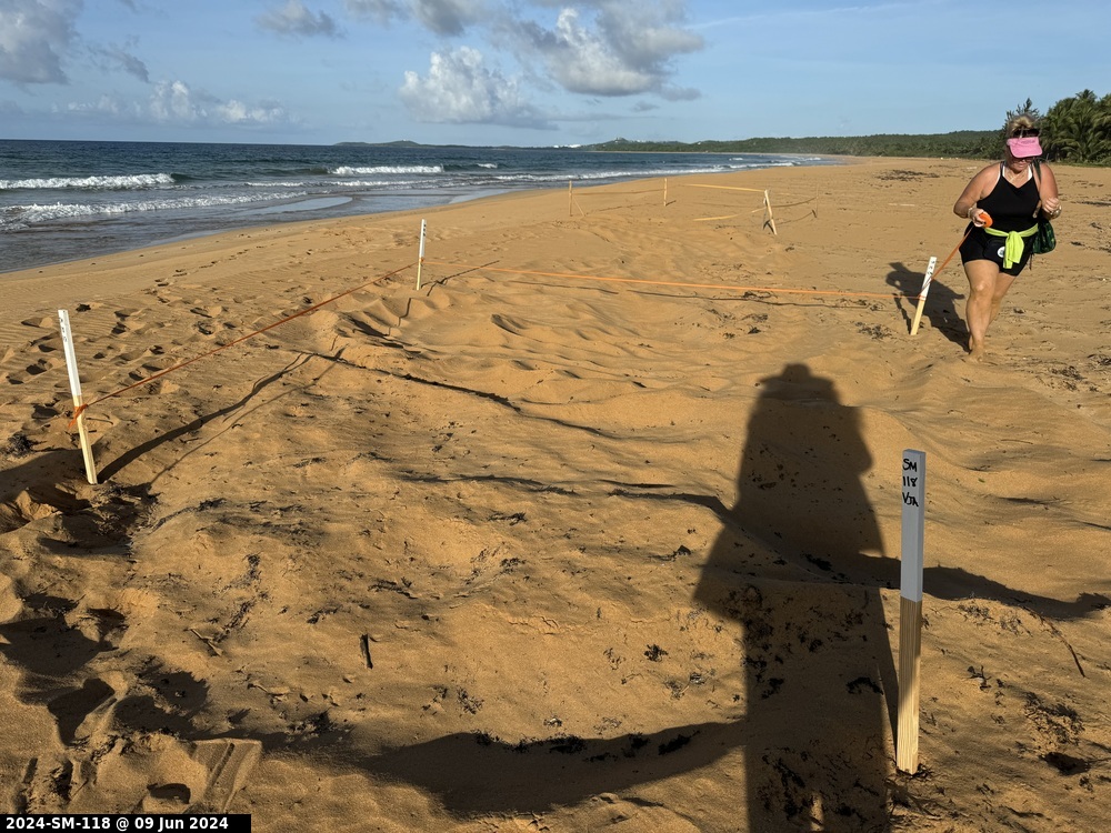 SM118 - Nest Tracker