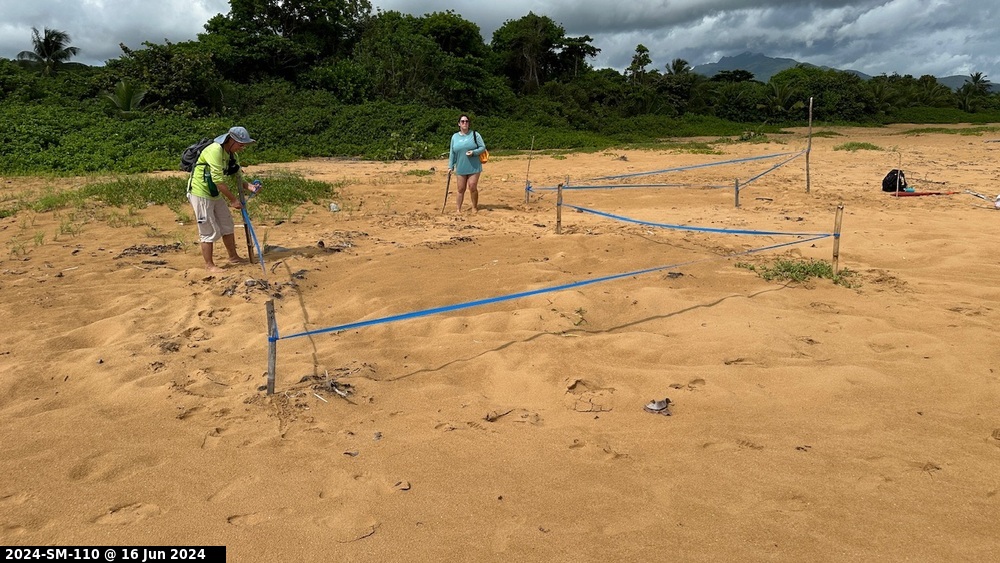 SM110 - Nest Tracker