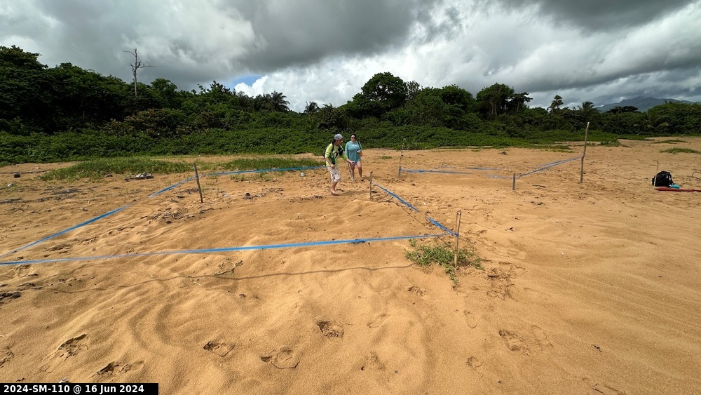 SM110 - Nest Tracker