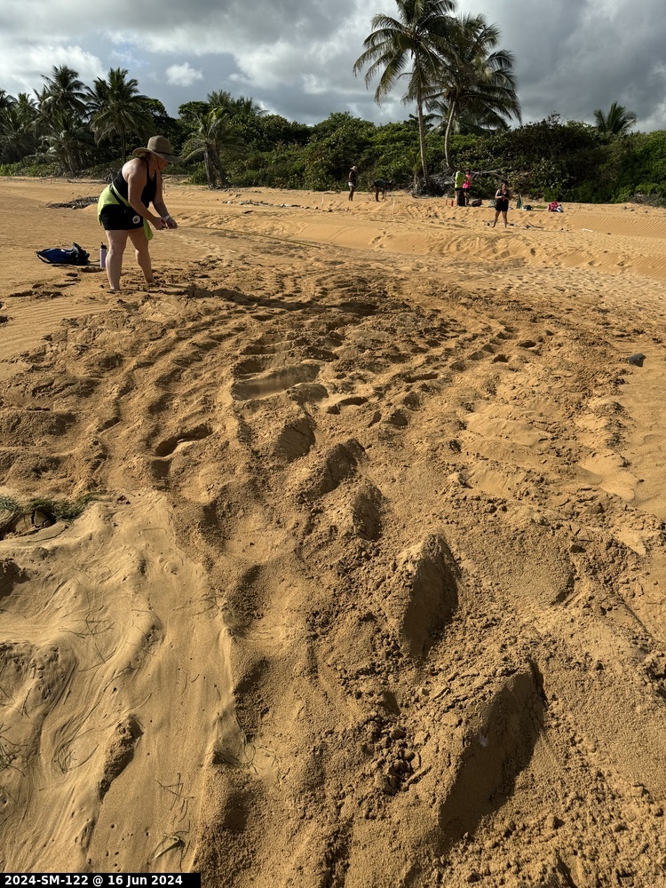 SM122 - Nest Tracker